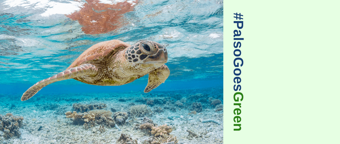 Ενημέρωση για την προστασία θαλάσσιων ειδών - #PalsoGoesGreen!